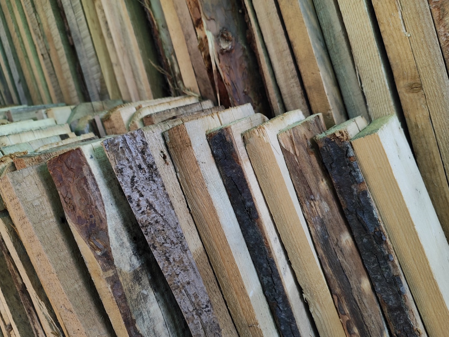 Green Building Trends in 2024 | Channel Lumber