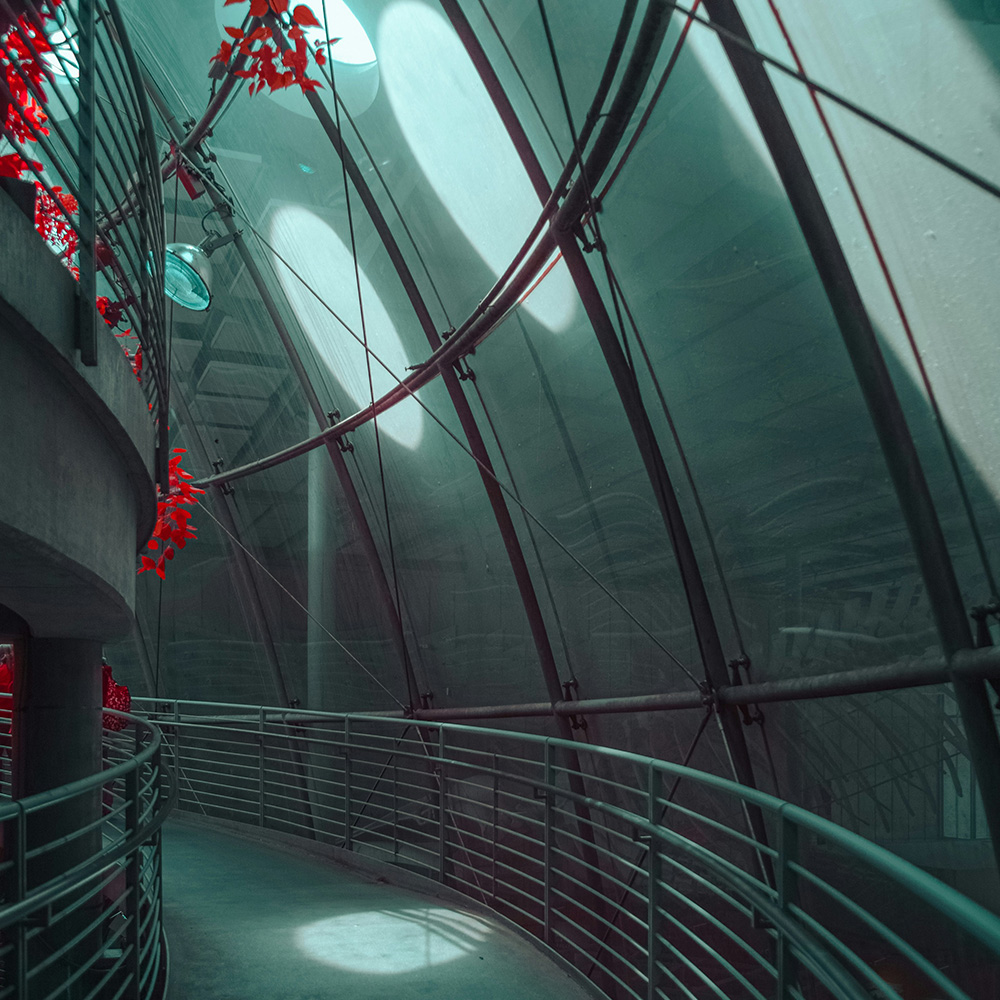 San Francisco's Greenest LEED Platinum Buildings | Channel Lumber